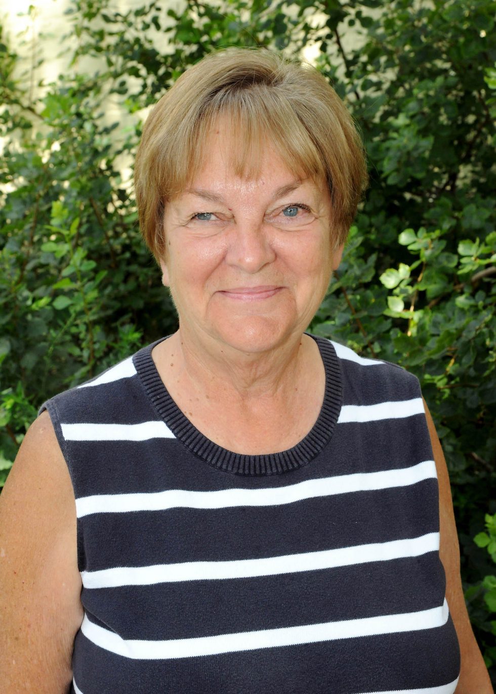 Meet the Staff | Illinois AEYC